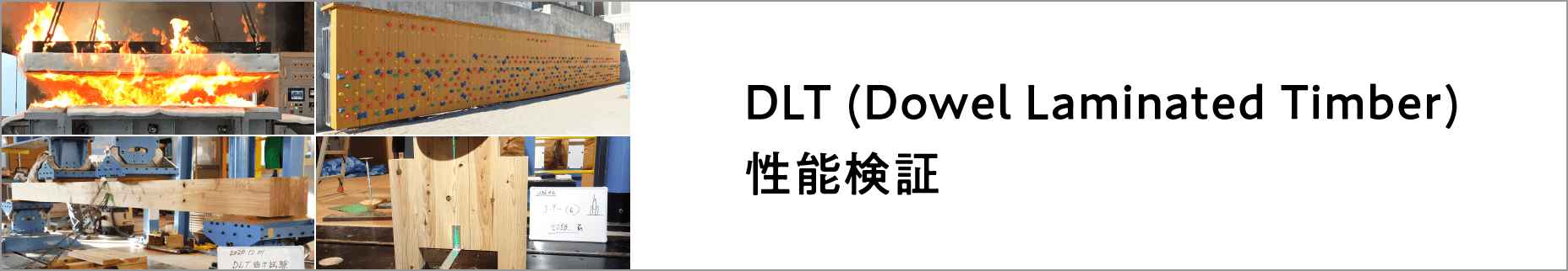 木ダボ接合積層材 DLT（Dowel Laminated Timber） | ハセマン